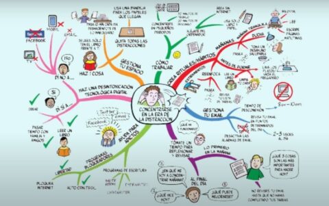 Ejemplo De Un Mapa Mental - 30 Ejemplos de Mapas Mentales Creativos