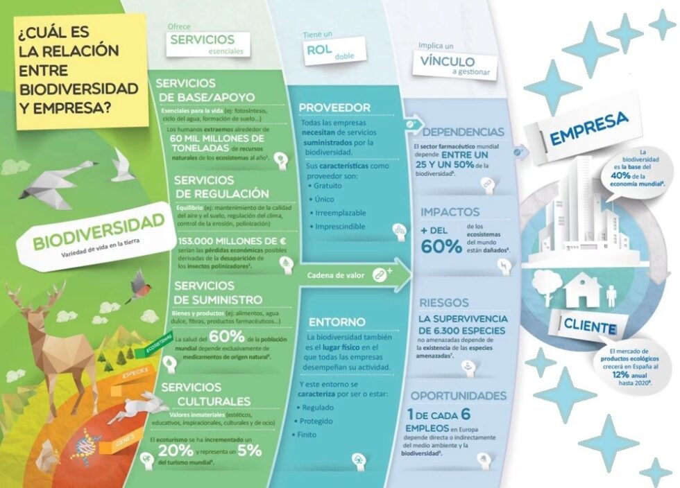 Ejemplos De Infografías - Los Mejores Ejemplos De Infografías Creativas