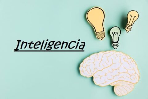 Todo Acerca De La Definición Y Los 8 Tipos De Inteligencia