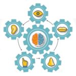 Percepción - Definición, Proceso, Tipos Y Factores Que La Afectan