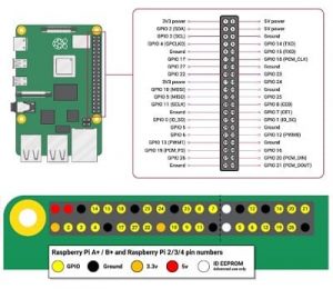 Raspberry Pi - ¿Qué Es?, Funciones, Tipos, Piezas Y Especificaciones